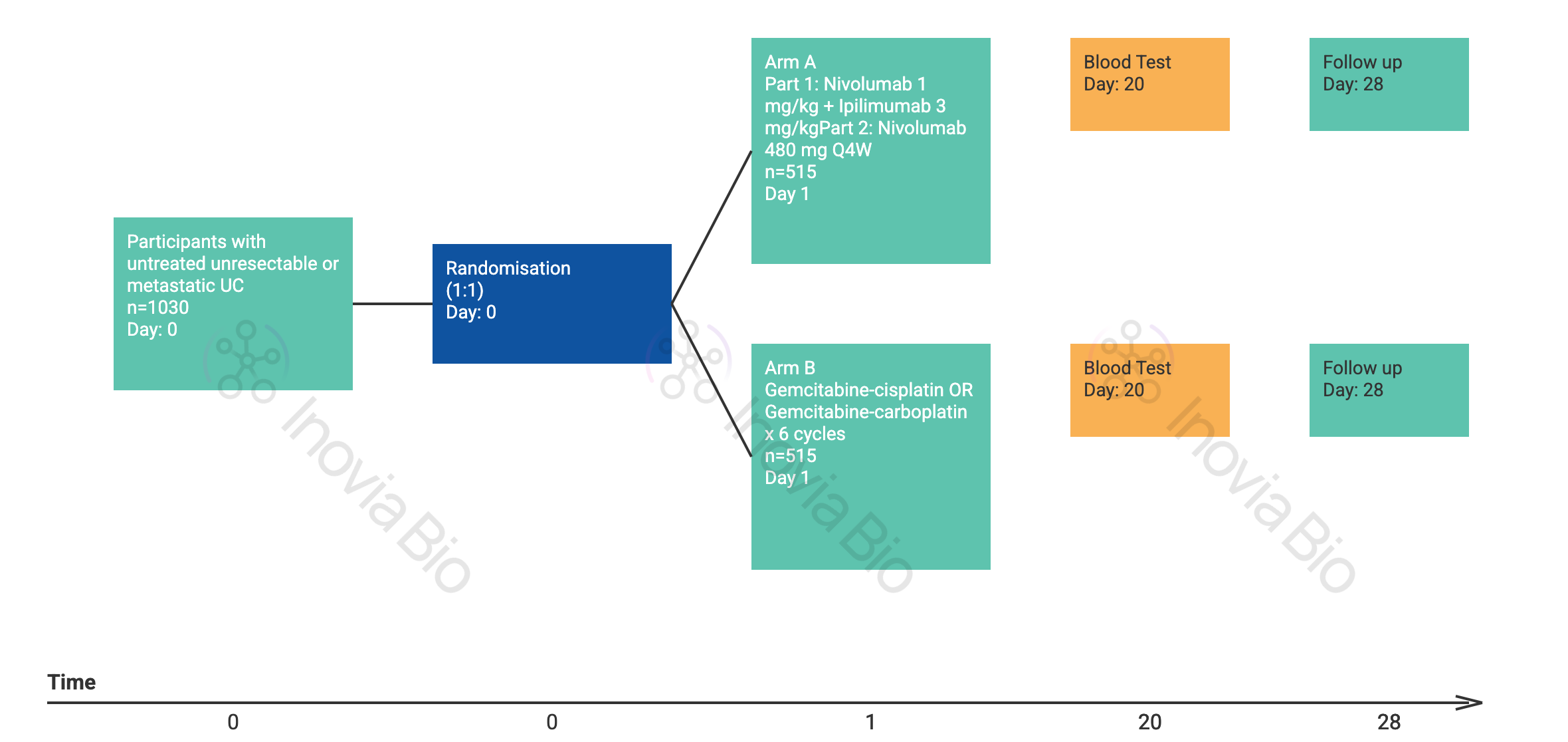 Clinical Development Planning & Trial Design